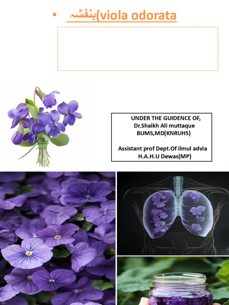 Khamira Banafsha: Benefits & Uses | PDF