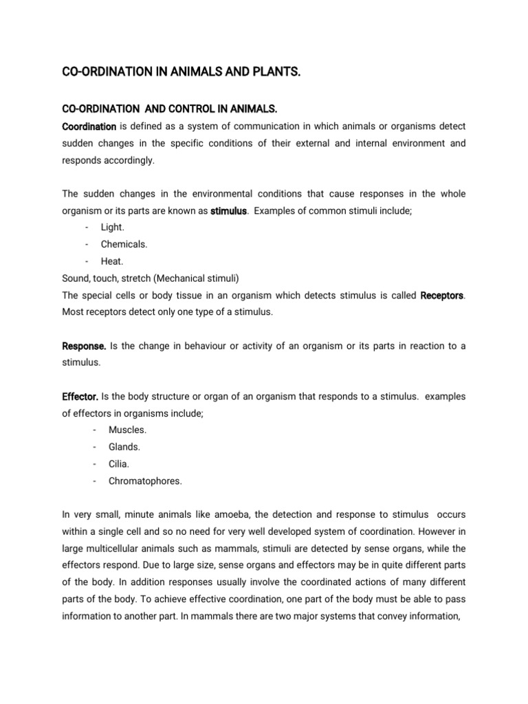 A-COordination in Plants and Animals | PDF