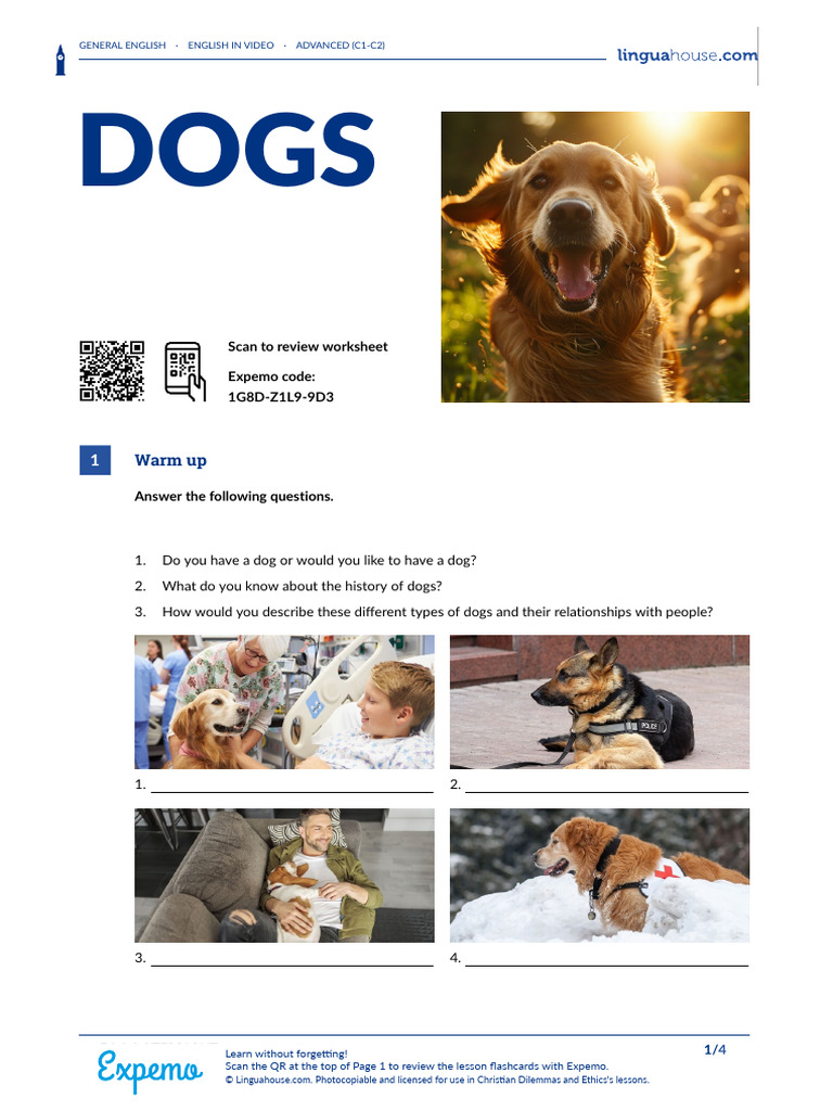 Dogs British English Teacher C1 C2 | PDF | Dog Breeds | Dogs