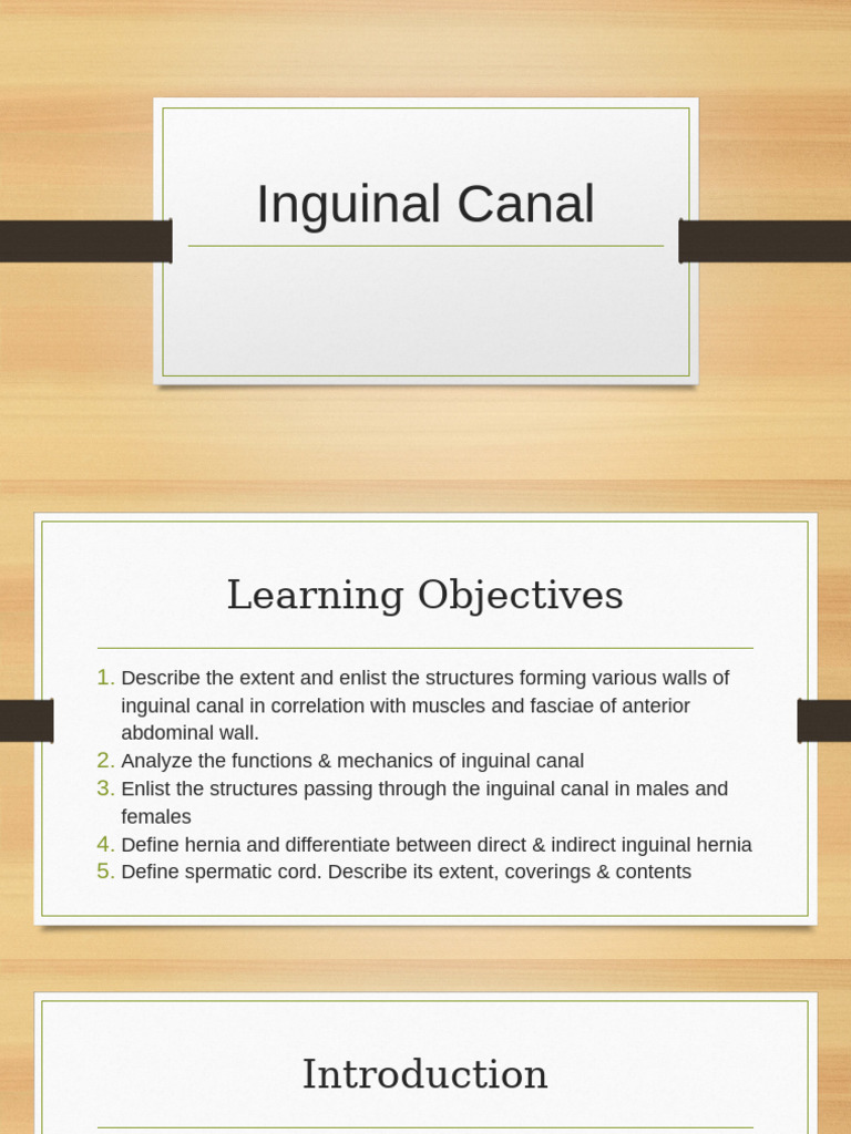 Inguinal Canal Anatomy and Hernias | PDF | Musculoskeletal System