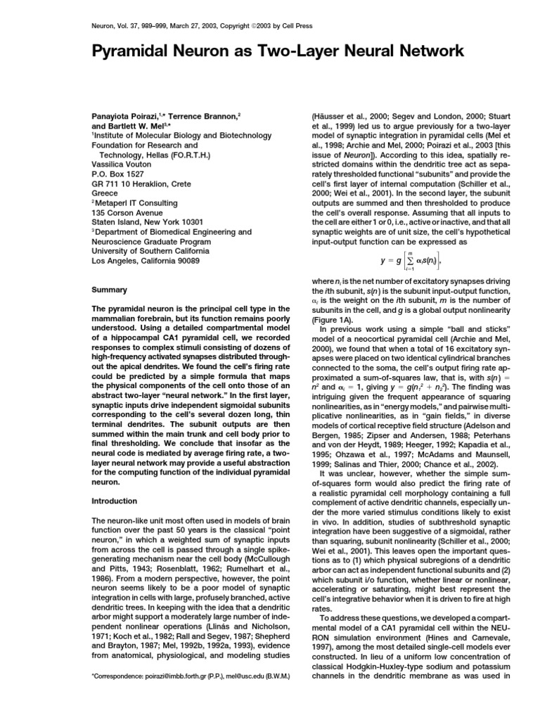 PyC As Two Layer Neural Network | PDF | Pyramidal Cell | Dendrite