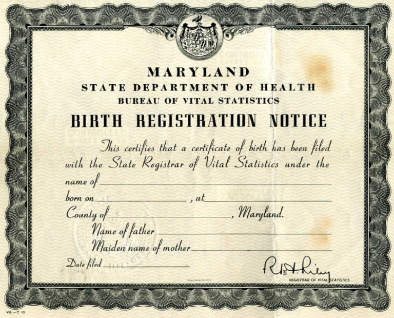 Birth Certificate | PDF