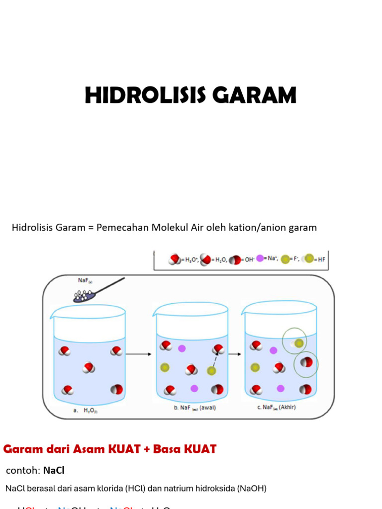 Hidrolisis Garam | PDF