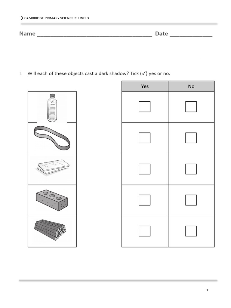 Cambridge Primary Science 3 Unit 3 Test | PDF