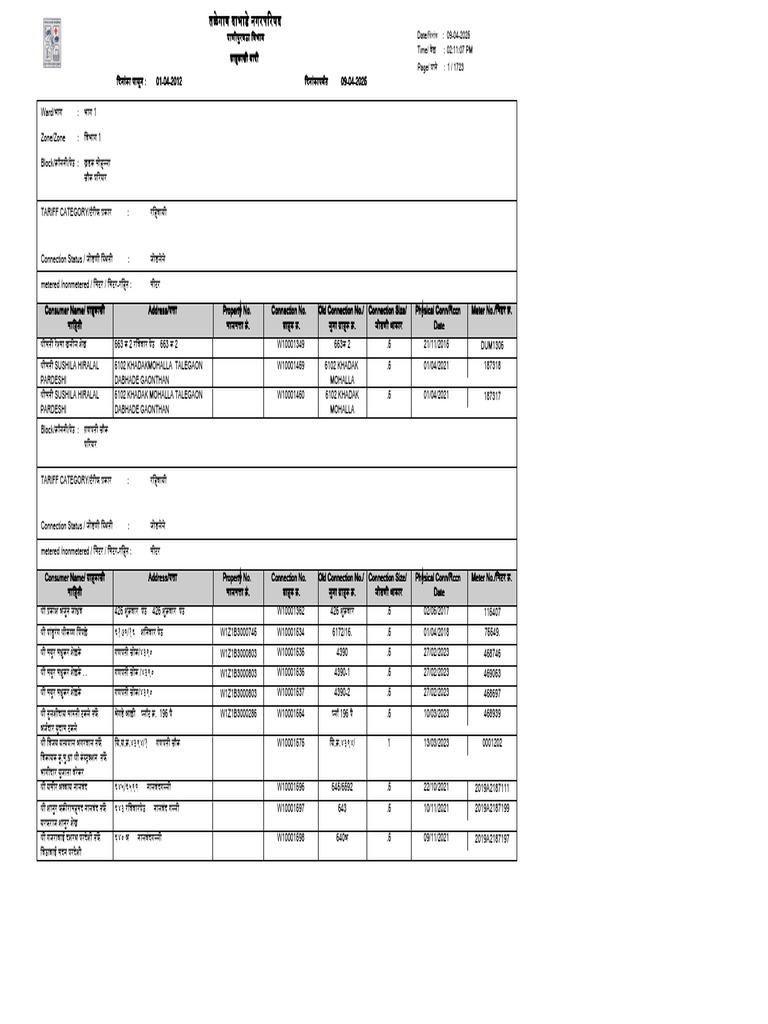 Watermeter Report | PDF