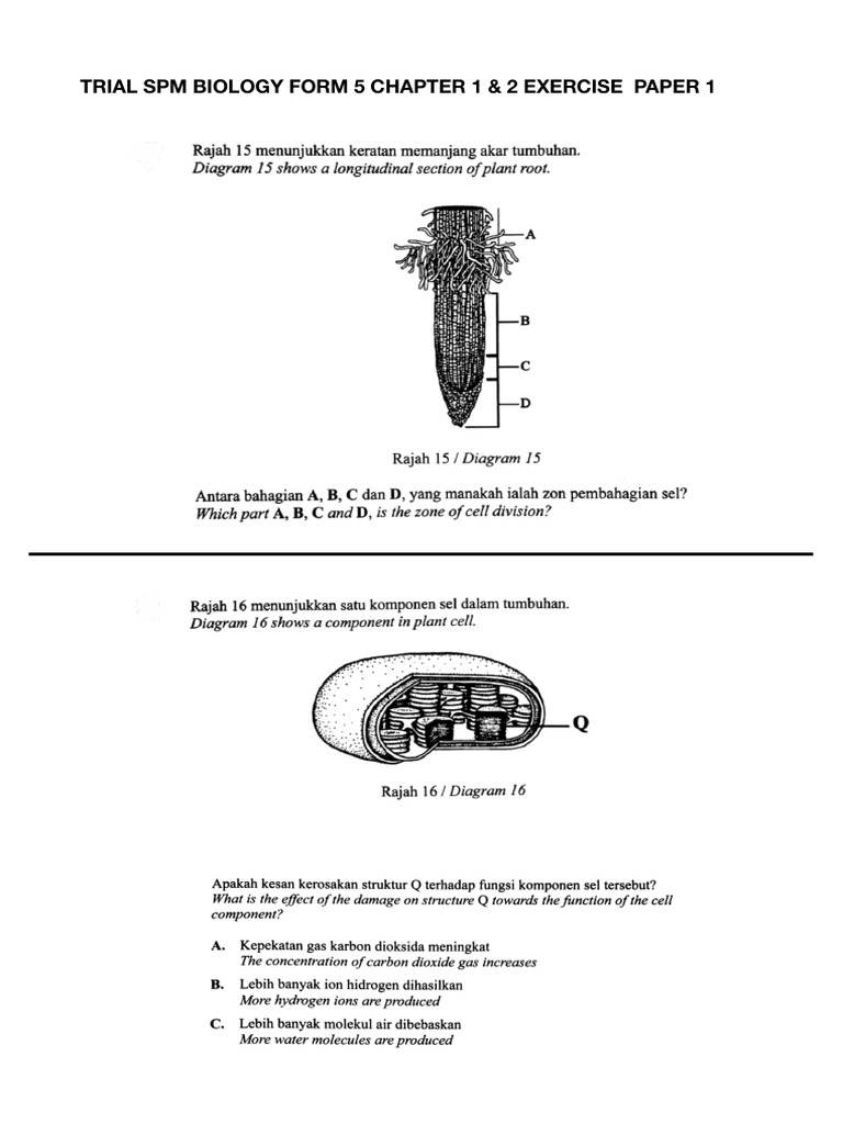 Trial SPM Form 5 Biology Compilation Chapte 1&2 | PDF