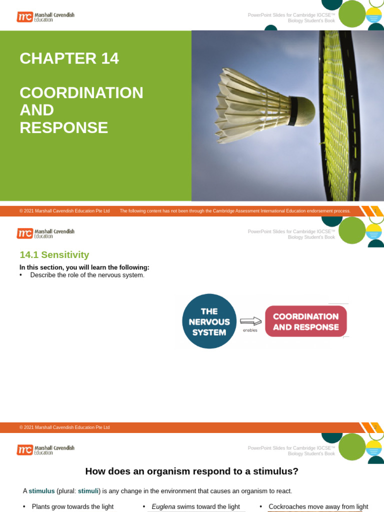 IGCSE Biology Topic 14 | PDF | Nervous System | Nerve