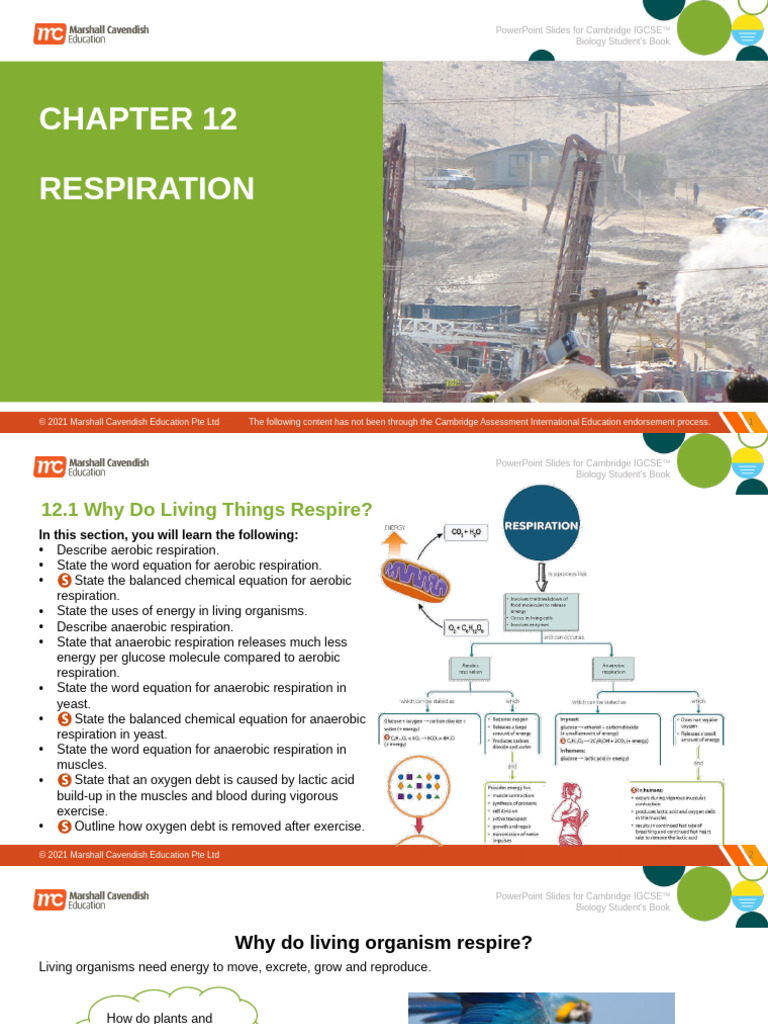 IGCSE Biology Topic 12 | PDF | Cellular Respiration | Carbon Dioxide