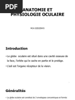 Anatomie Du Corps Genicule Lateral 2022 | PDF | Système visuel | Vision
