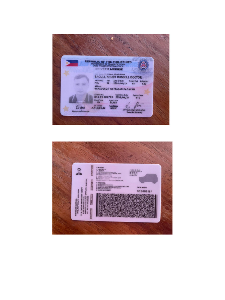 Driver License | PDF