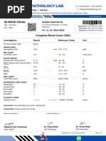 CBC Test Report Format Example Sample Template Drlogy Lab Report | PDF ...