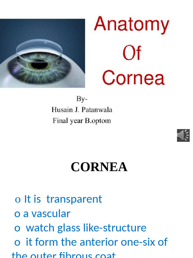 Cornea | PDF | Cornea | Epithelium