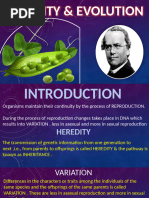 Class 10 Heredity | PDF | Dominance (Genetics) | Genetics