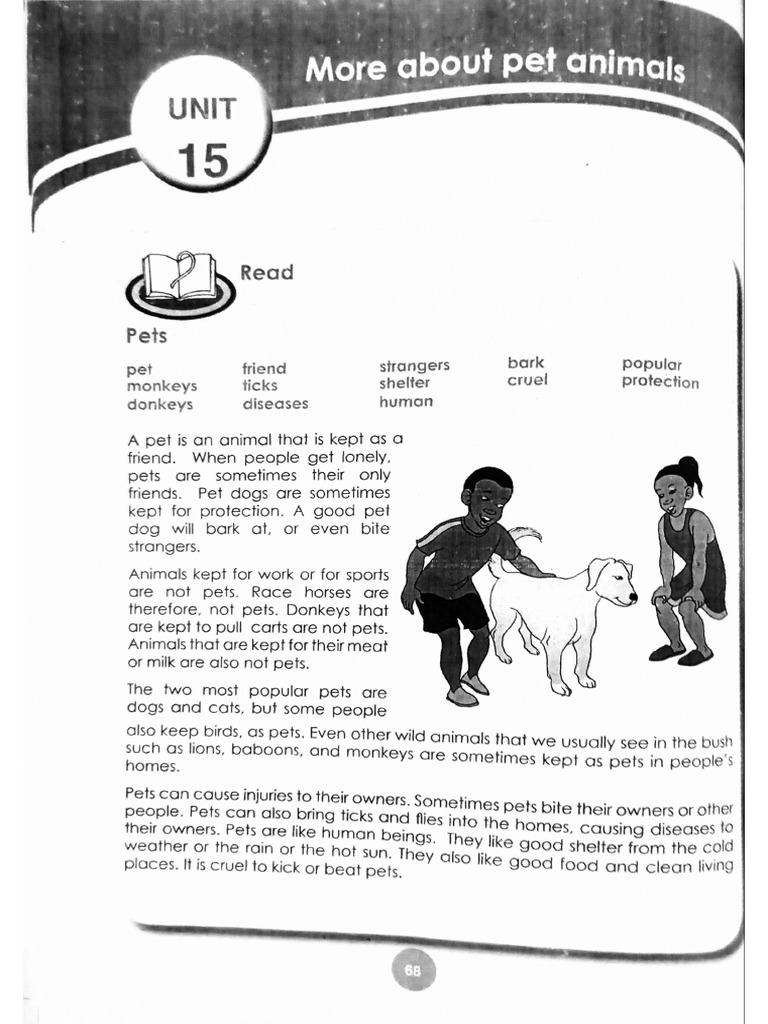 Comprehension Passage GR 3 | PDF