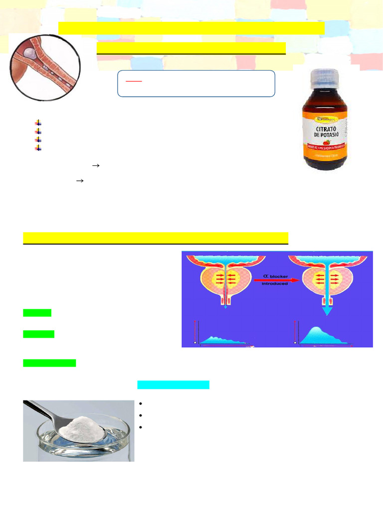 A Exposicion Disolventes y Alivio de La Obstruccion | PDF | Drogas ...