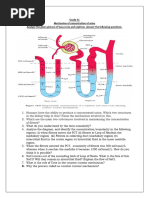 SuccessFactors PMGM Overview Guide | PDF | Performance Appraisal | Goal