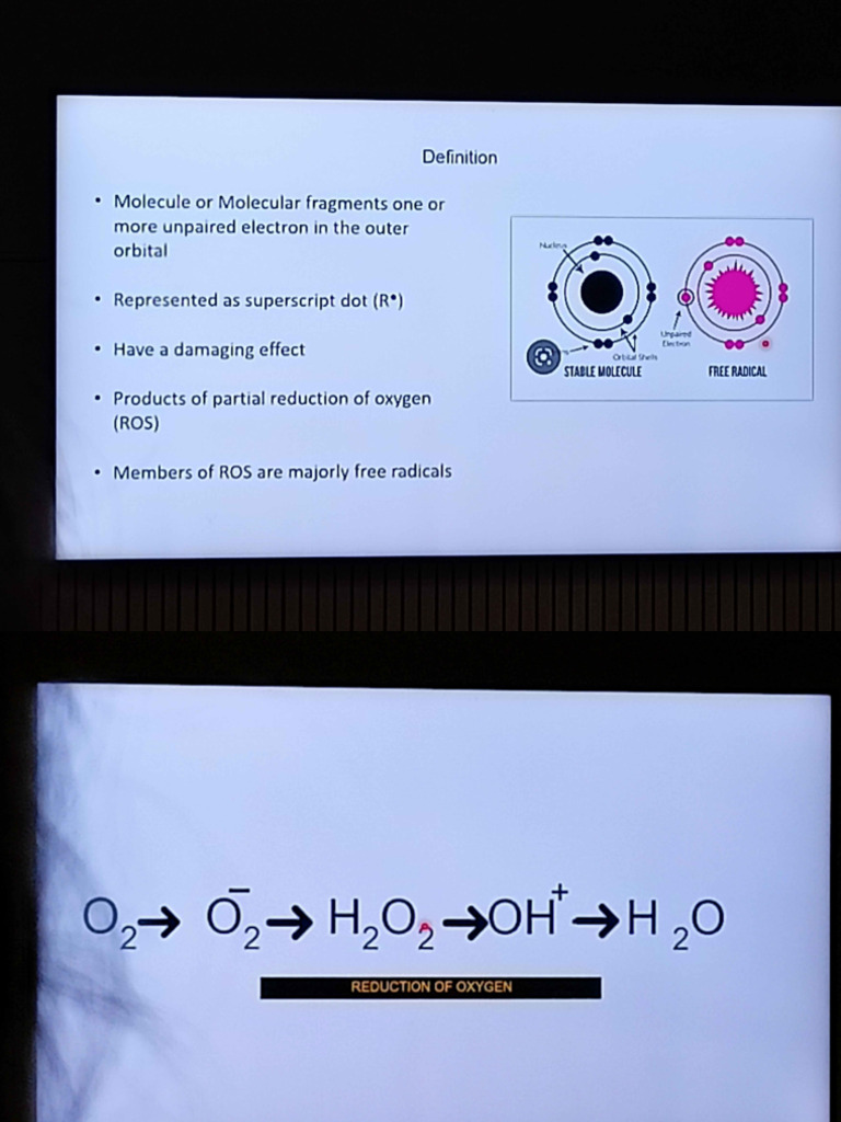 Free Radicals & Antioxidants Slides | PDF