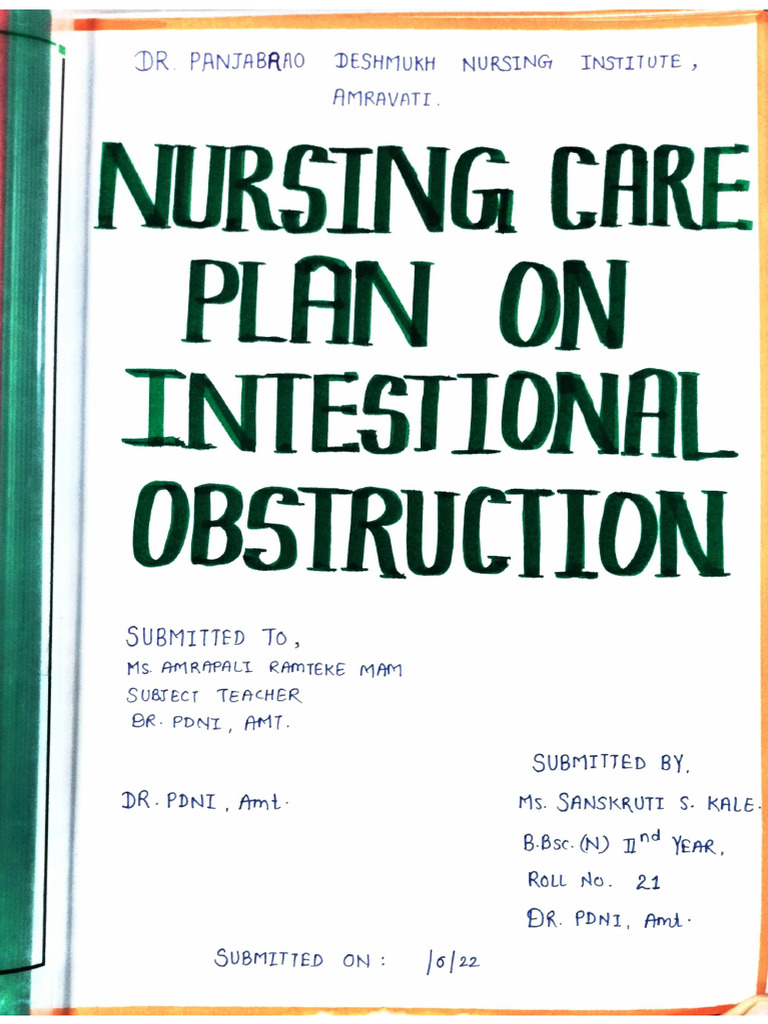 NCP On Intenstinal Obstruction | PDF