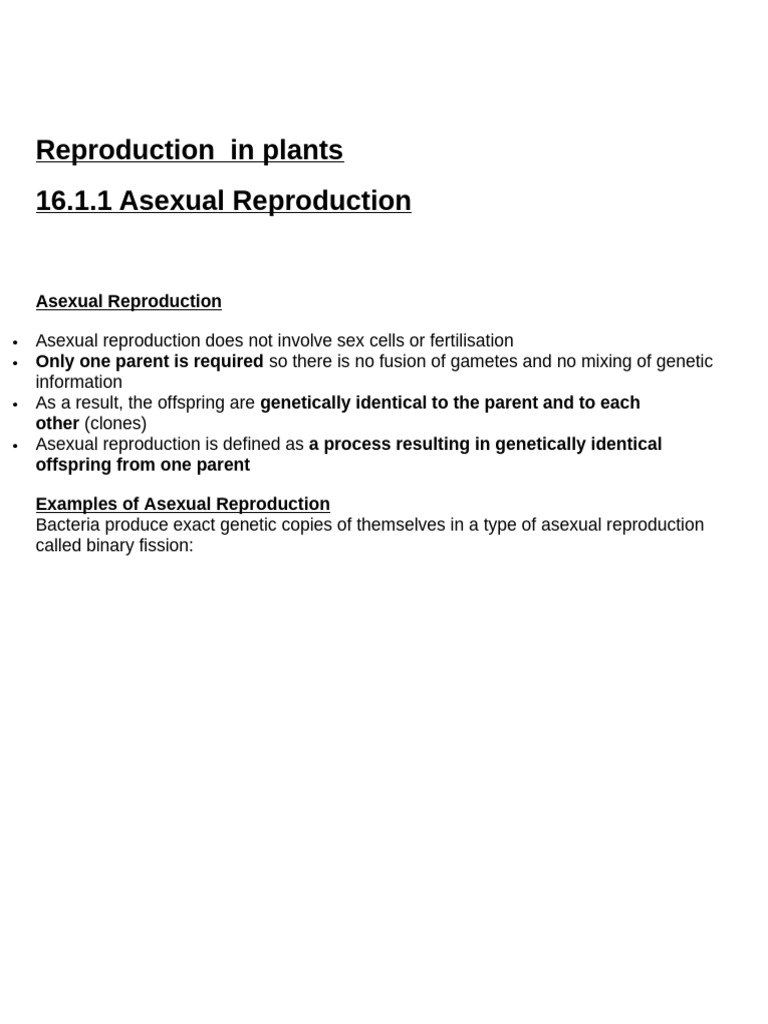 14 Reproduction in plants | PDF | Ploidy | Flowers