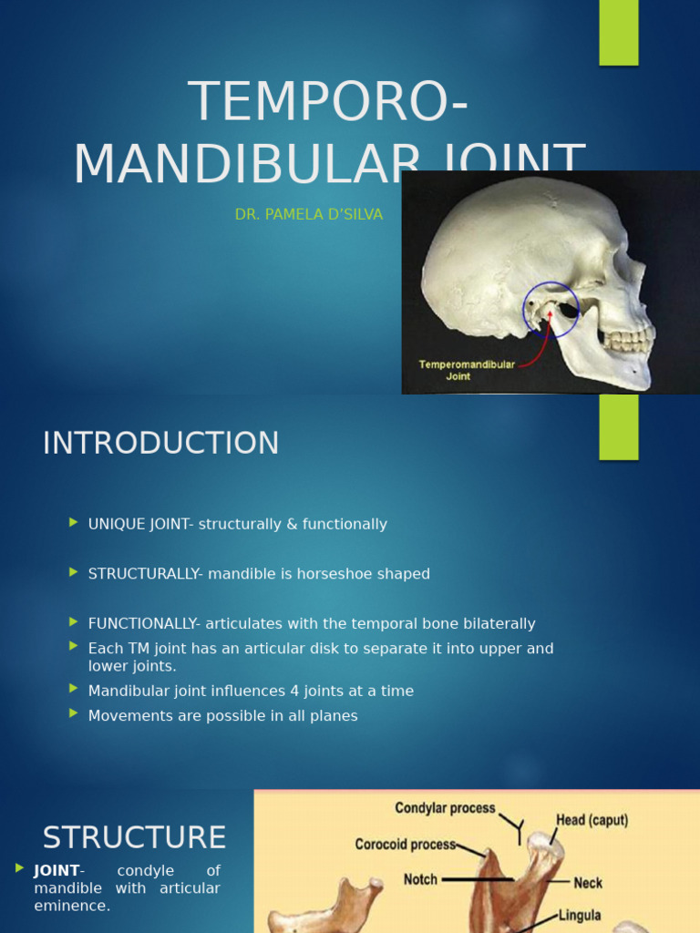Temporo - Mandibular Joint 11462 PT 1104-t 23-06-2021 | PDF | Human ...