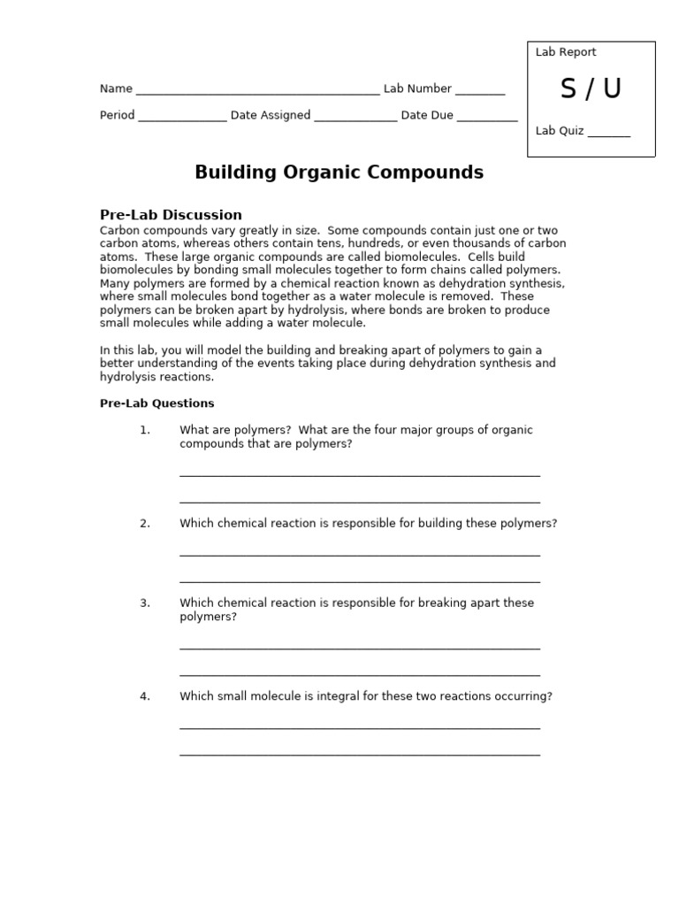 Building Organic Compounds Lab | PDF | Chemical Compounds | Polymers