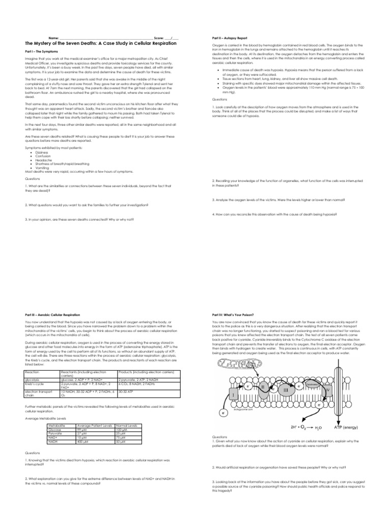 The Mystery of The Seven Deaths | PDF | Cellular Respiration ...