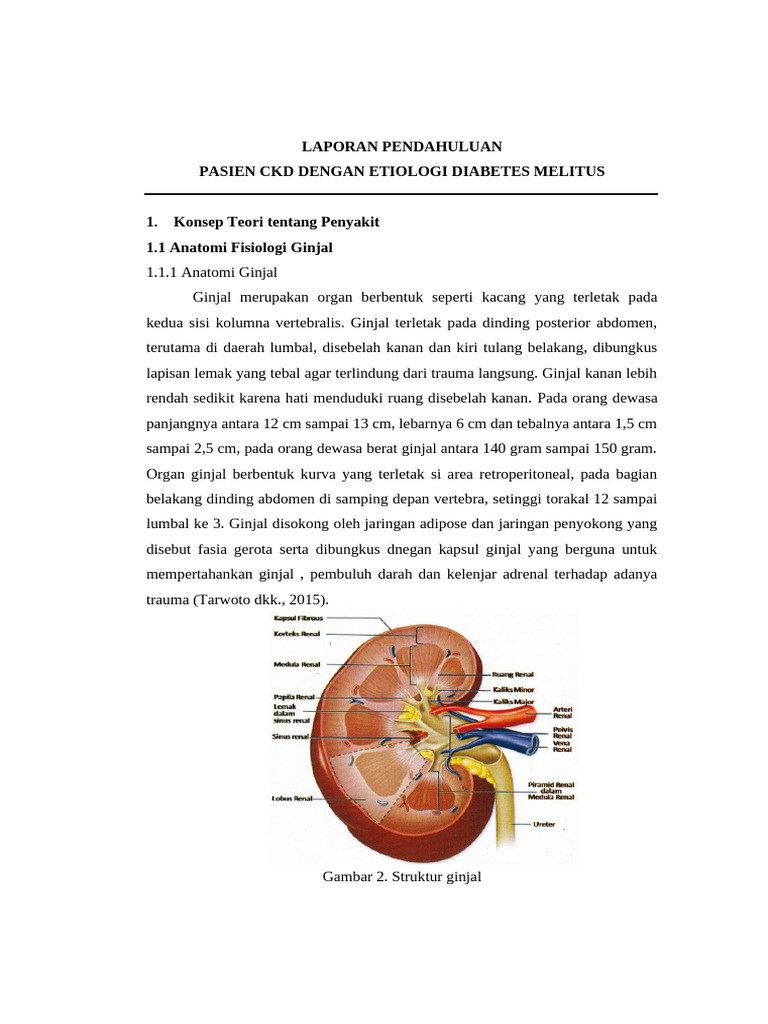 LP CKD+DM[1] | PDF