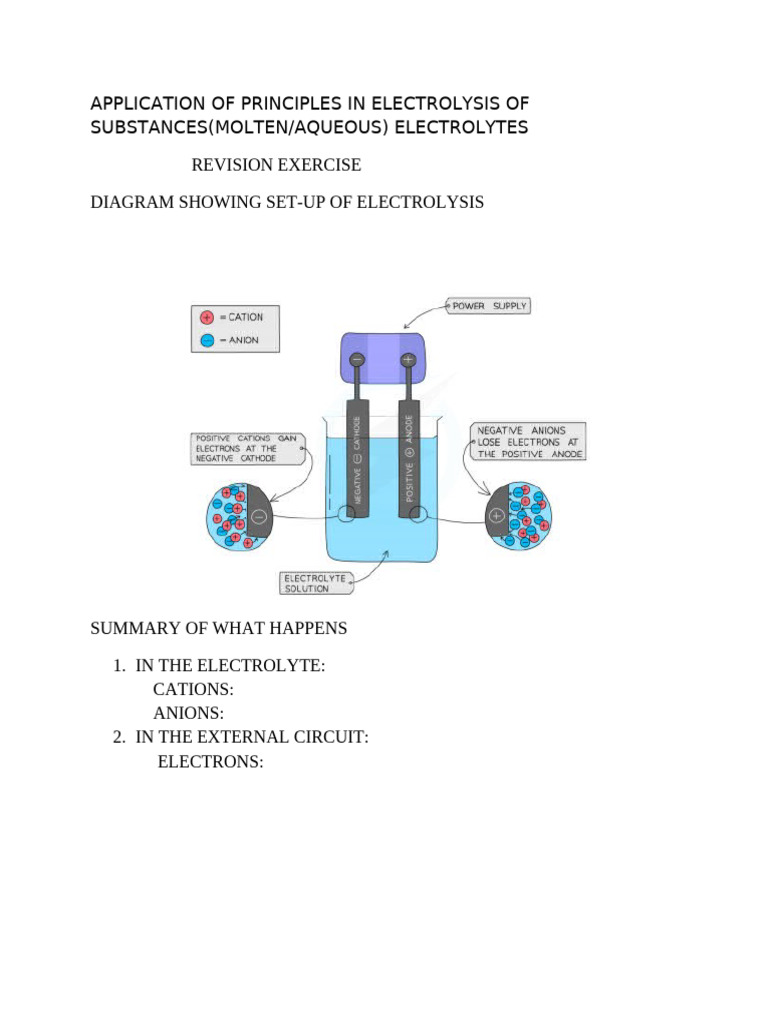 Application of Principle in Electrolysis of Substances | PDF