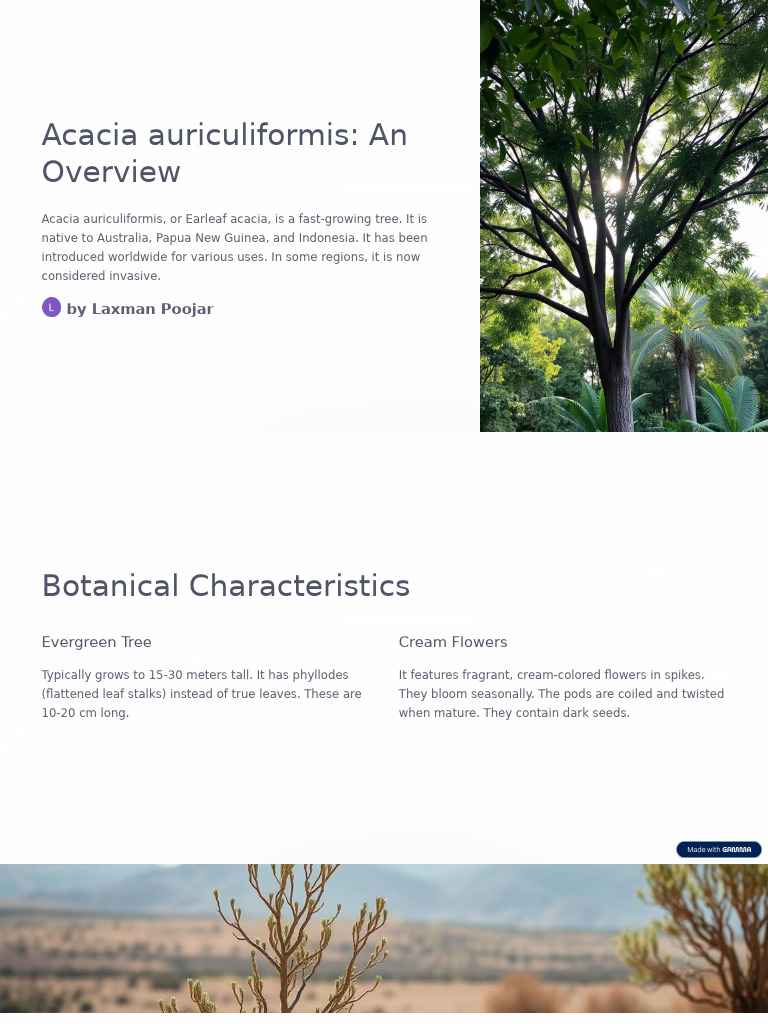 Acacia-auriculiformis-An-Overview | PDF | Trees | Invasive Species