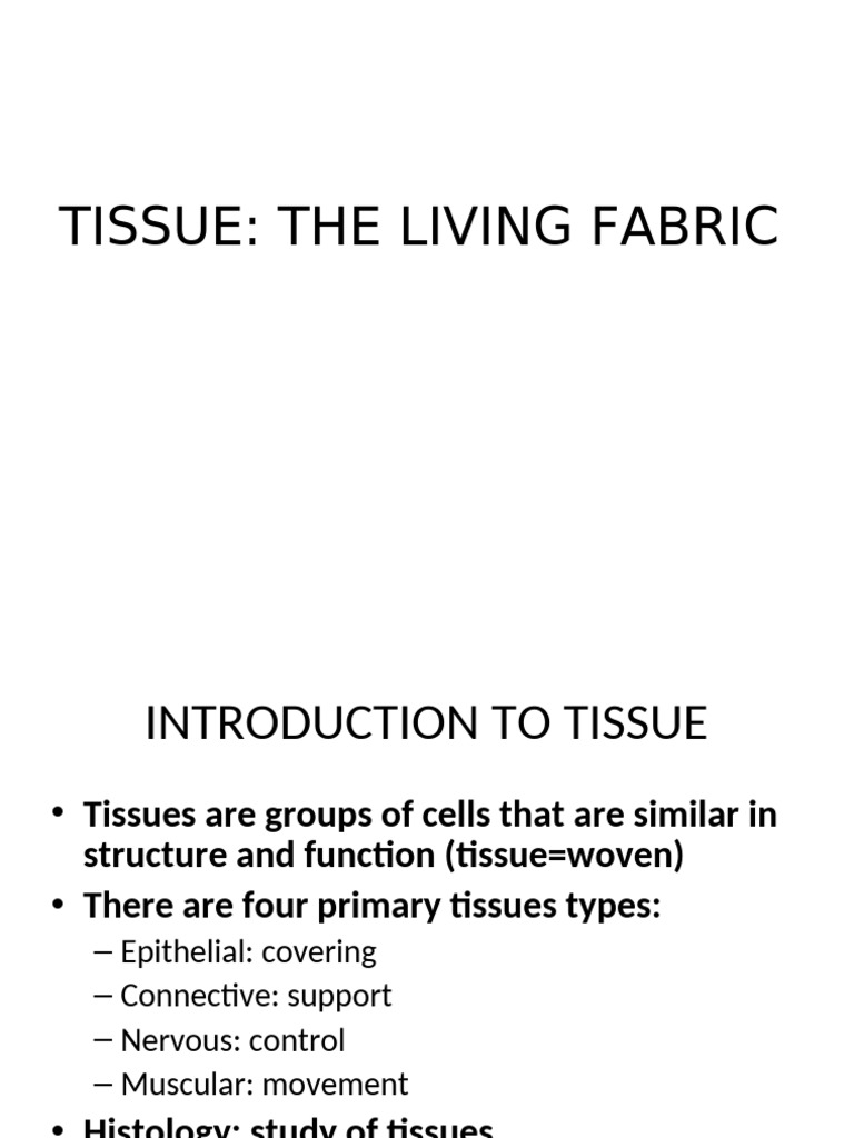 Anatomy and Physiology of Tissues | PDF | Epithelium | Connective Tissue