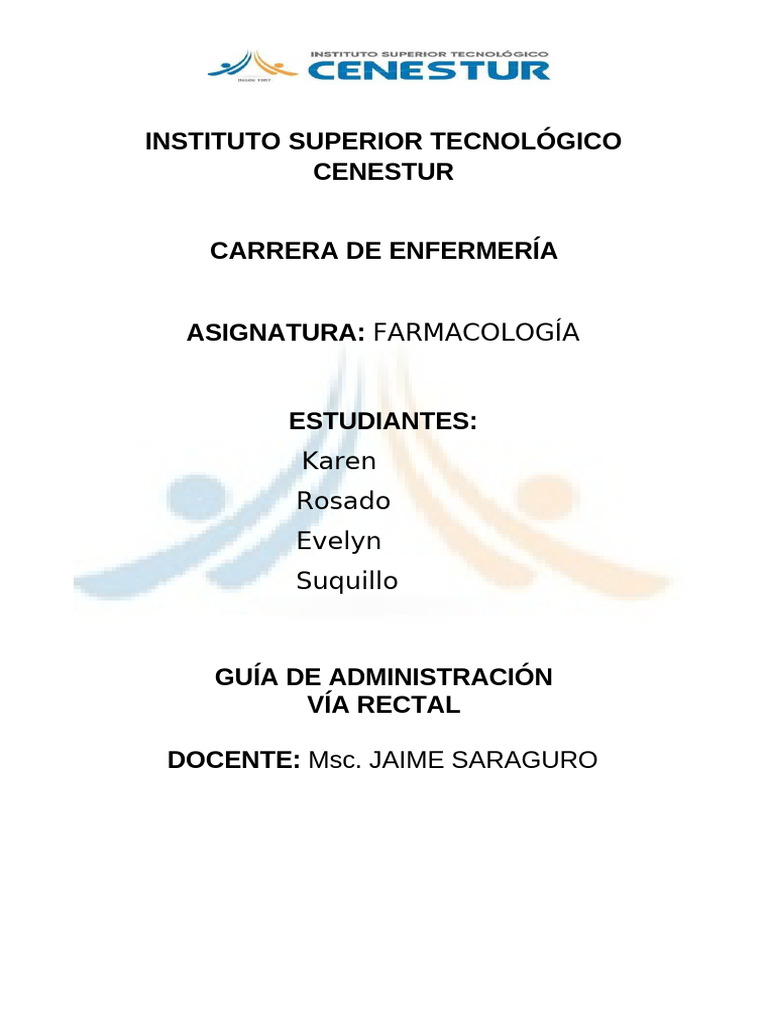 Proyecto Final Grupo 6 | PDF