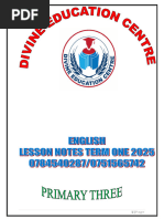 Primary Three English Lesson Notes | PDF | Plural | Pronoun