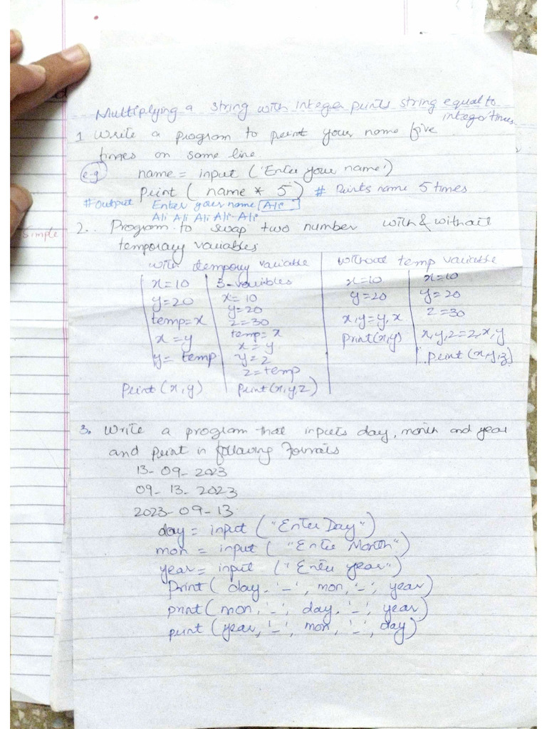 Python General Notes and Basic Mistakes | PDF