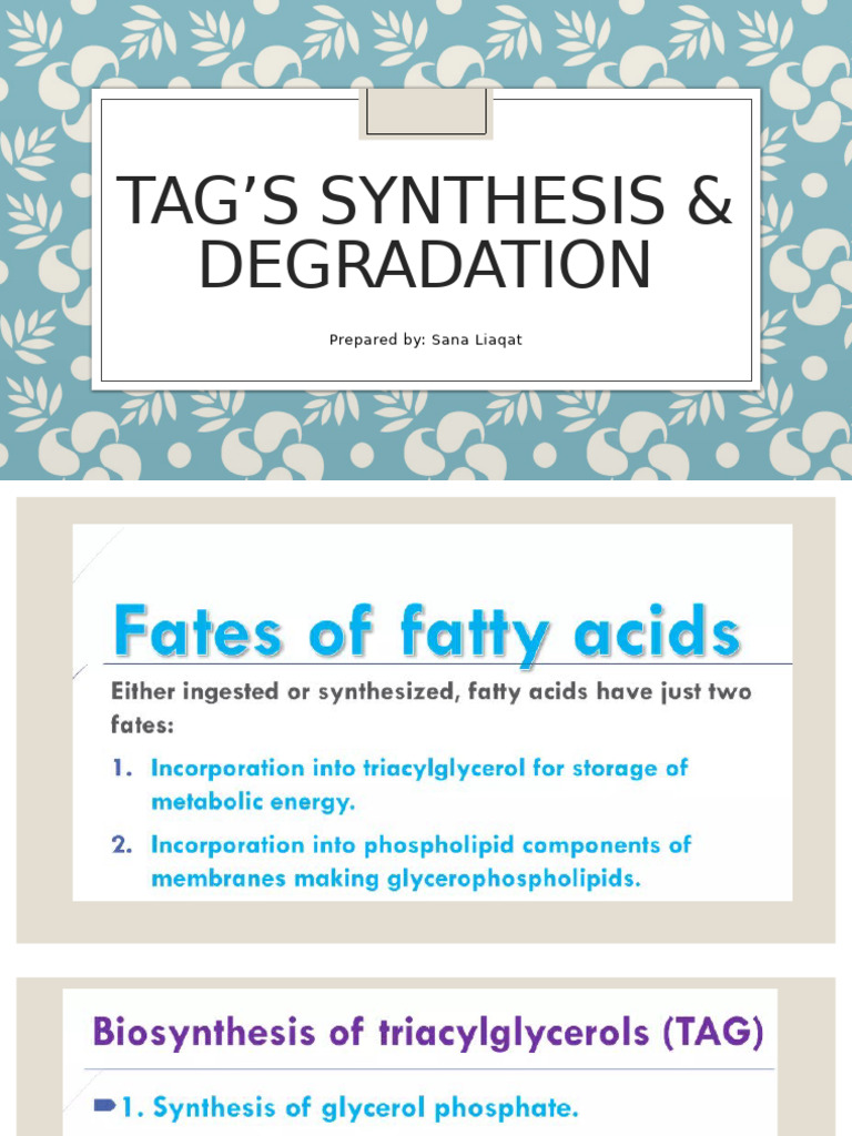 TAG Synthesis | PDF