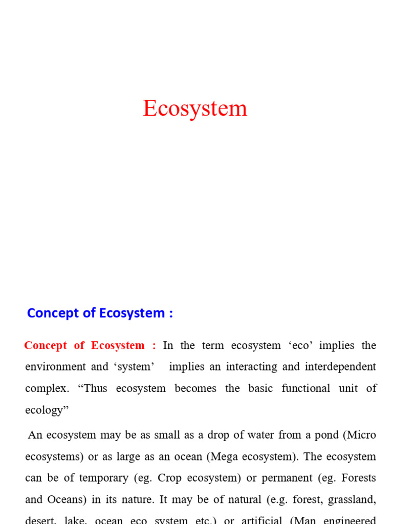 Ecosystem | PDF | Food Web | Ecosystem