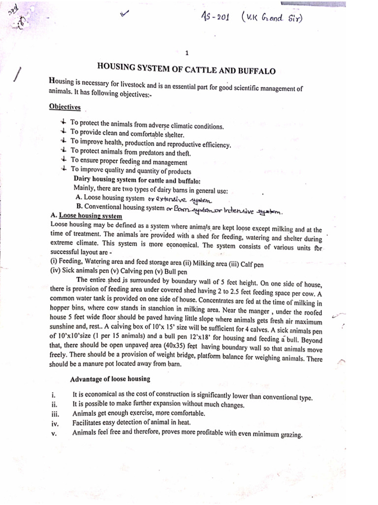 Housing System of Cattle and Buffalo | PDF