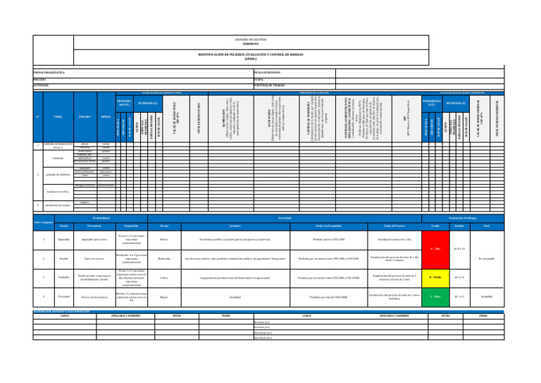 FT - Formato de IPERC | PDF