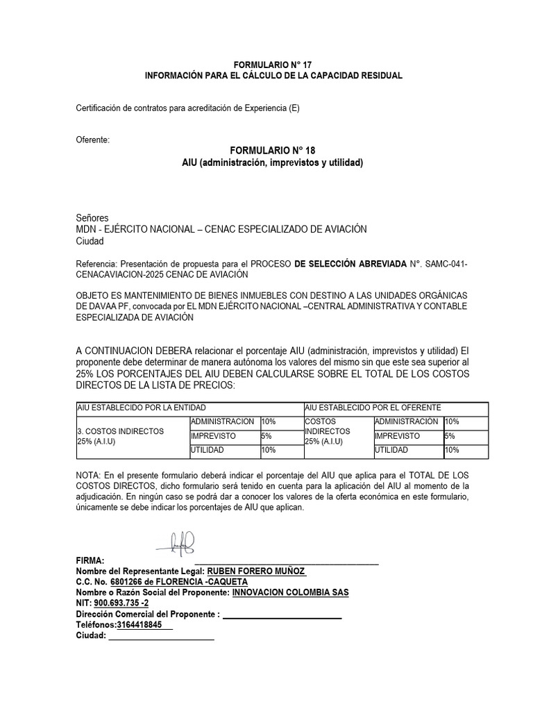 Formulario Aplicacion Del Aiu Proceso 041 | PDF