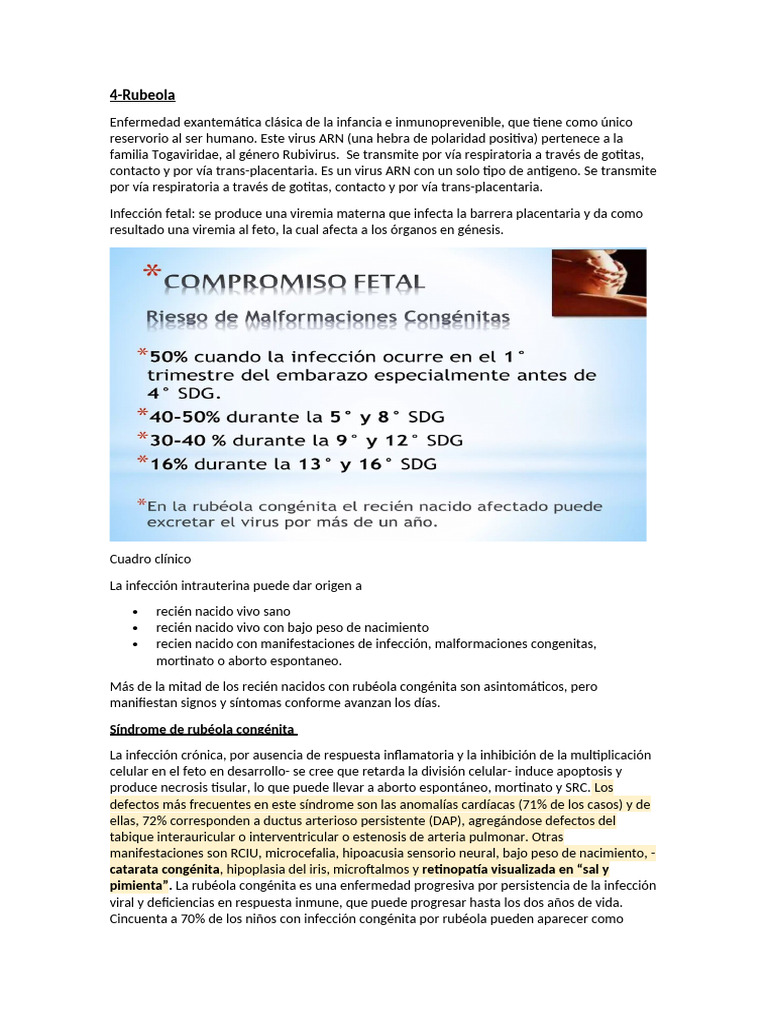 Rubeola Congénita: Diagnóstico y Efectos | PDF | El embarazo | Virus