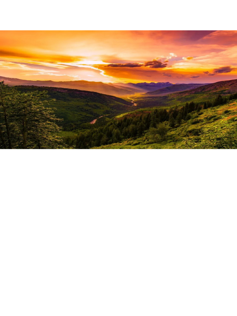 Documento (23) | PDF