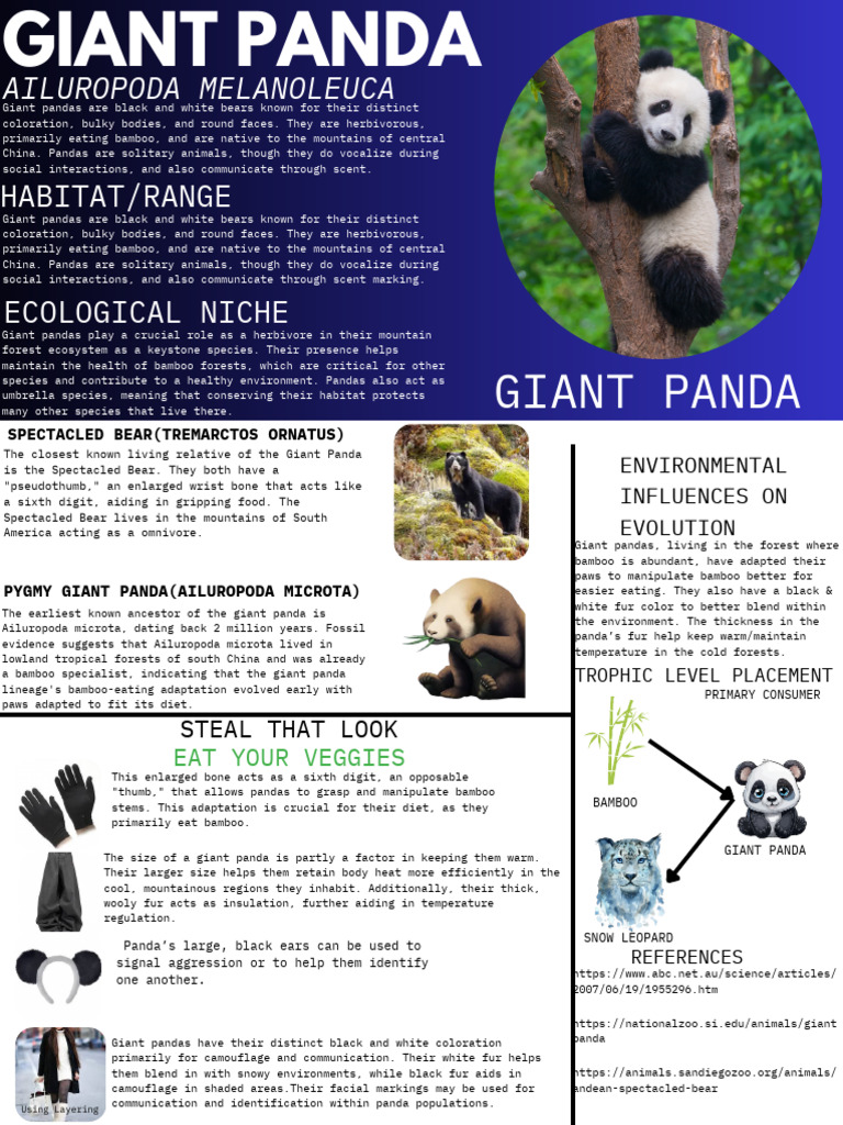 Giant Panda: Evolution and Ecology | PDF | Giant Panda | Bears