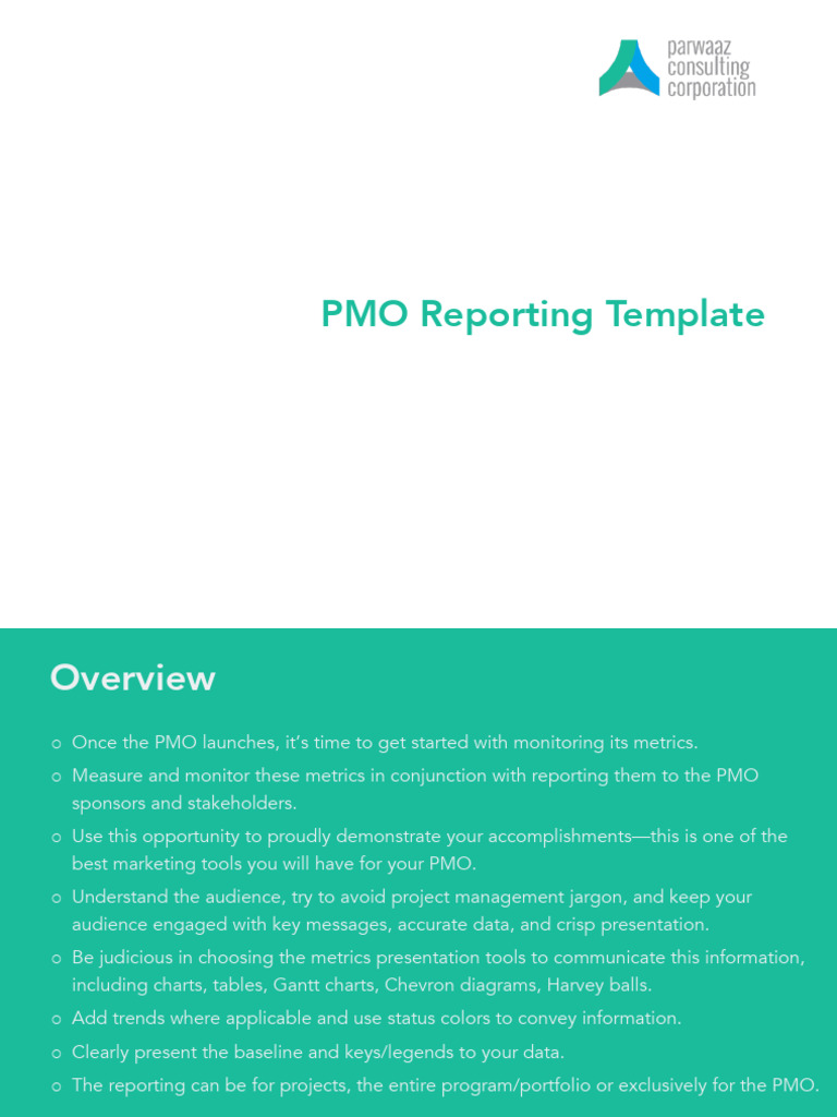 07 - 02 PMO Reporting Template | PDF | Economies | Business Economics
