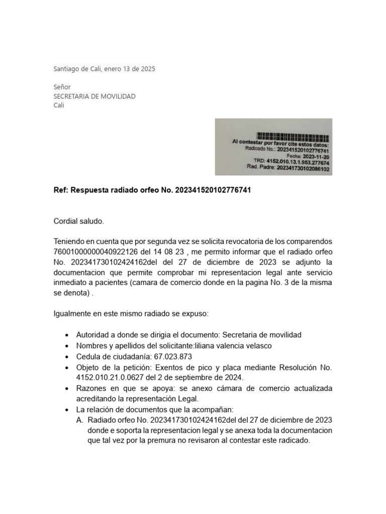 Radicado Lialian | PDF