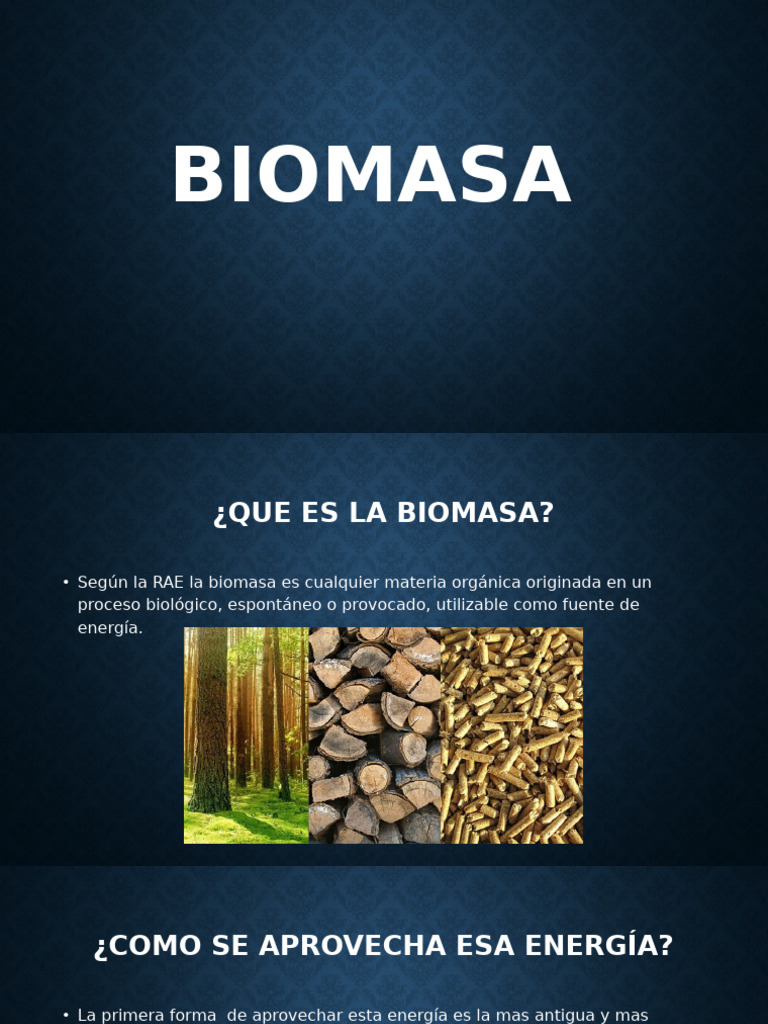 BIOMASA | PDF