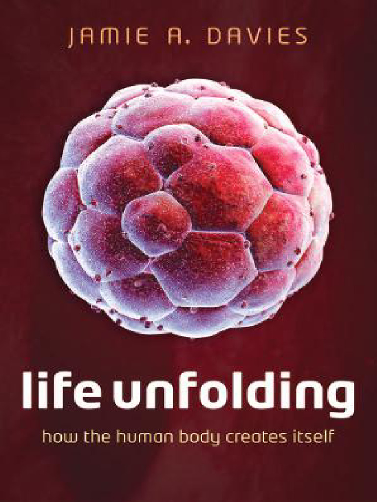 Understanding Human Development | PDF | Gene | Proteins