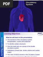 BTEC Sport Cardiovascular System Guide | PDF | Heart | Artery