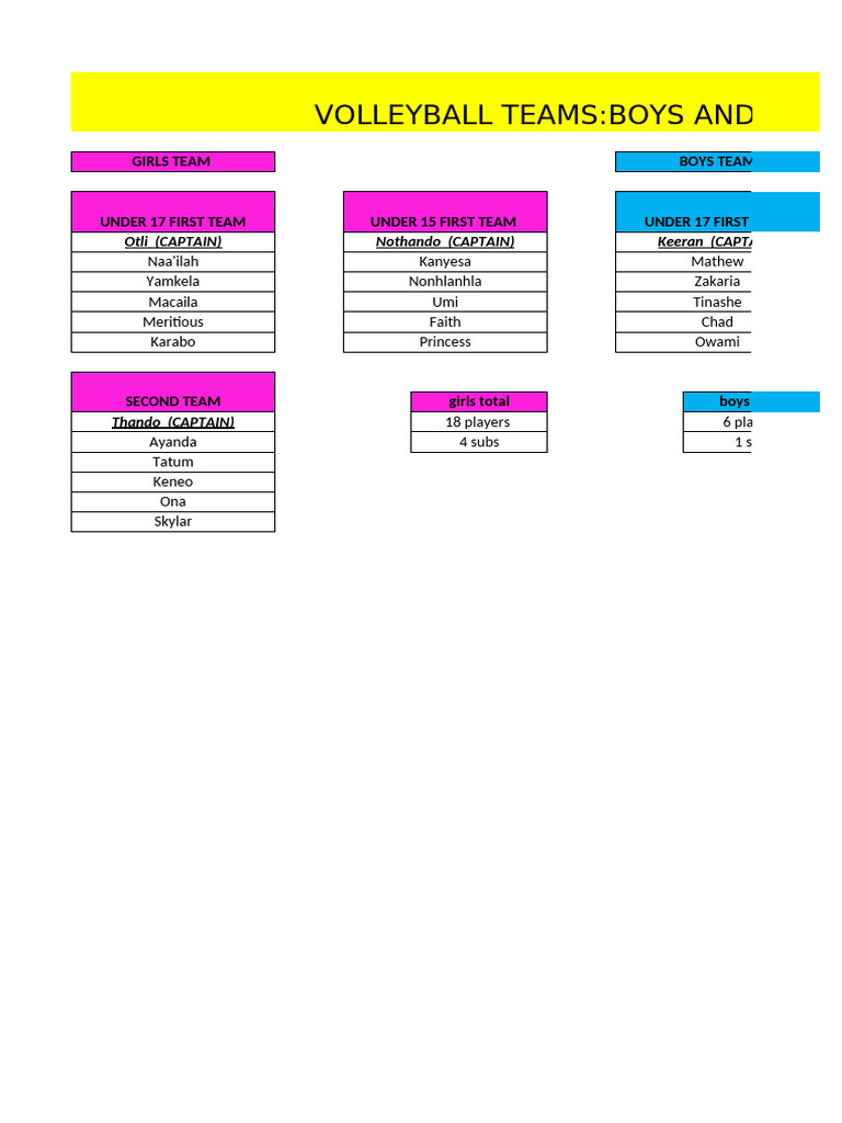 Volleyball Team 2 | PDF