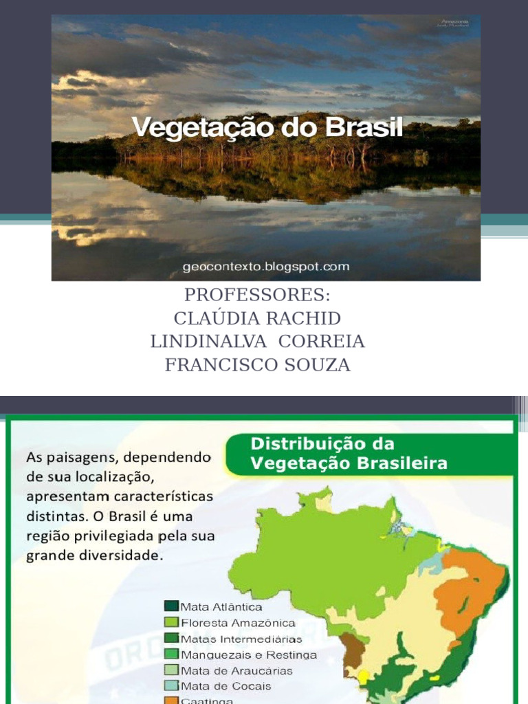VEGETAÇÃO NO BRASIL | PDF