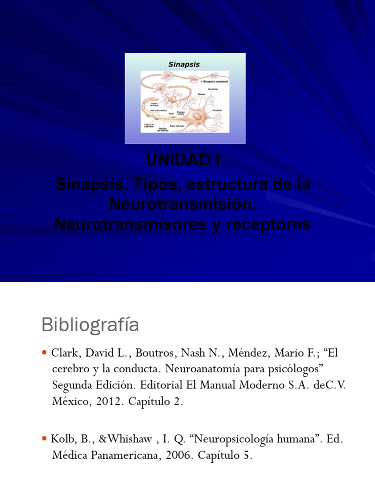 Unidad I (Sinapsis) | PDF | Sinapsis | Neurotransmisor
