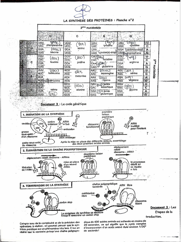 PDFReader 20250228 1830 | PDF